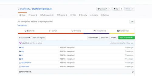 Цаплева О.А. ИДМ-19-03